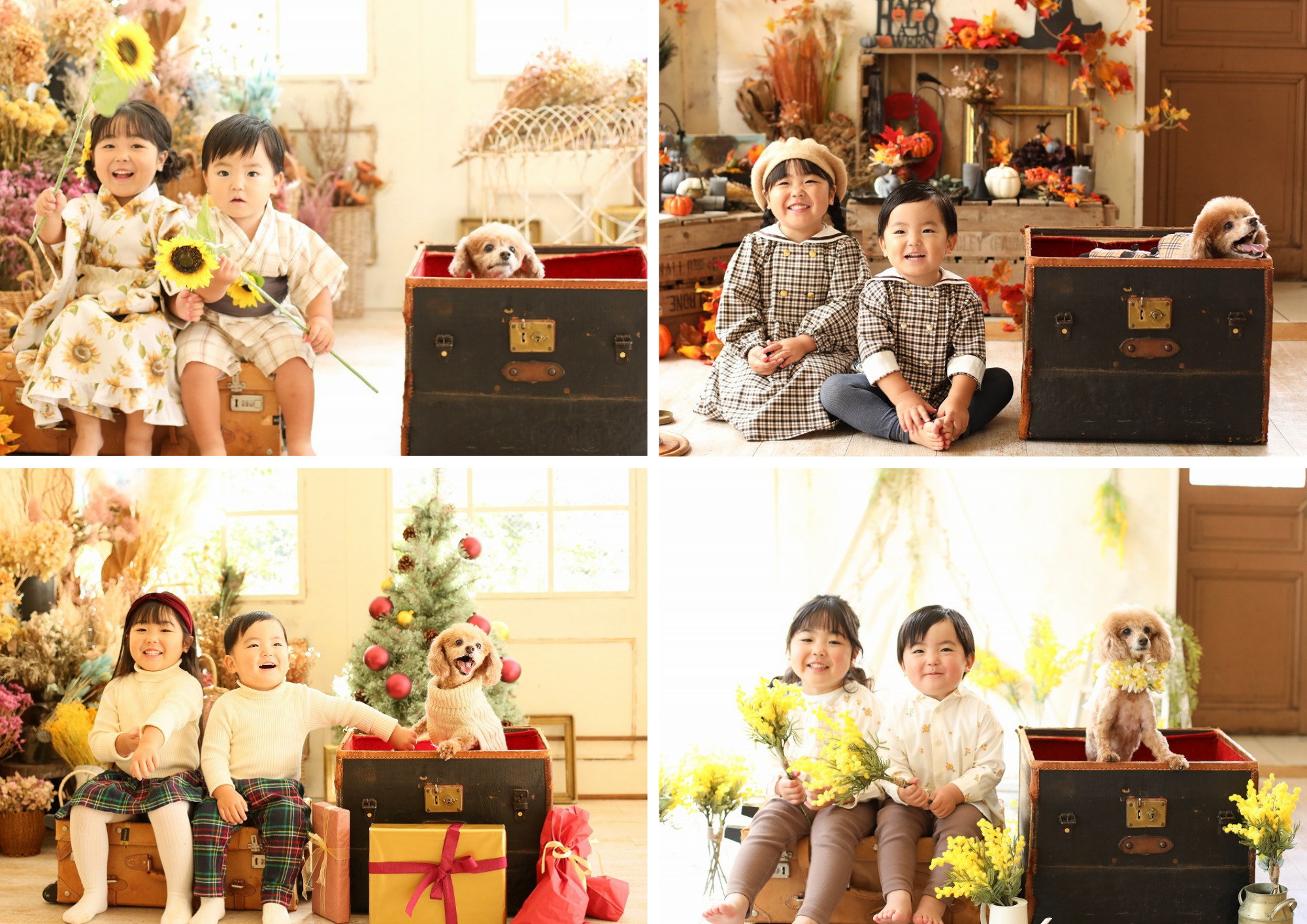 ＜シーズン記念フォト＞シーズンごとのstudio clamp photo | studio clamp